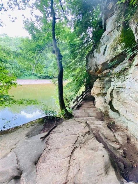 Turkey Run State Park Trail Guide For Families And Nature Lovers