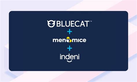 Enhancing Ddi Automation And Security With Menandmice And Indeni Bluecat Networks