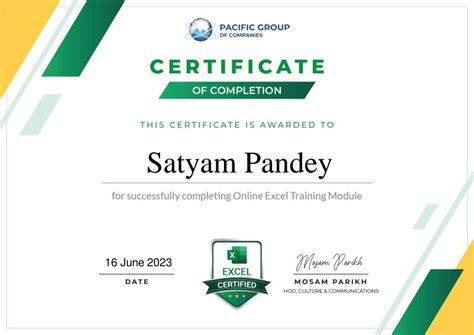 Excel Completion Certificate By Pacific Group Of Companies Satyam Pandey