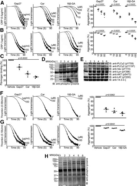 Gap Junction Blockers Inhibit Platelet Activation Aggregation