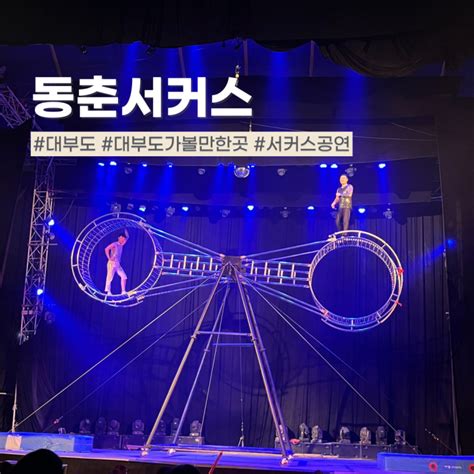 대부도 실내 데이트 아이랑 가기 딱 좋은 스릴만점 서커스 공연 동춘서커스 내돈내산 주차 네이버 블로그