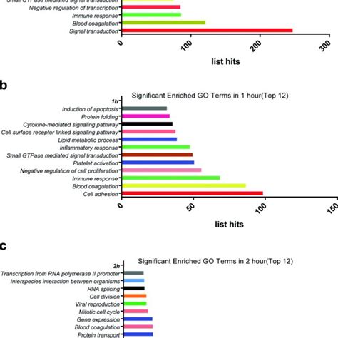 “go” Clustering Analysis Shows The Top 12 Terms Of “cell Biological