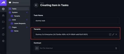 How To Pre Populate Default Tenant Help Directus Community
