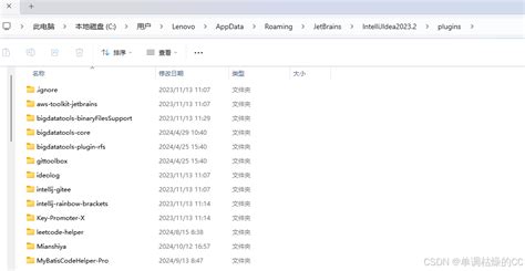 idea启动报错com intellij diagnostic PluginException intellij diagnostic pluginexception