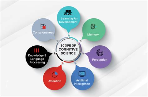 What Does Cognitive Mean Definition And Meaning What Is Confirmation