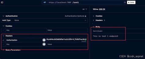 在 Net 90 Web Api 中实现 Scalar 接口文档及jwt集成scalar 文档 Csdn博客