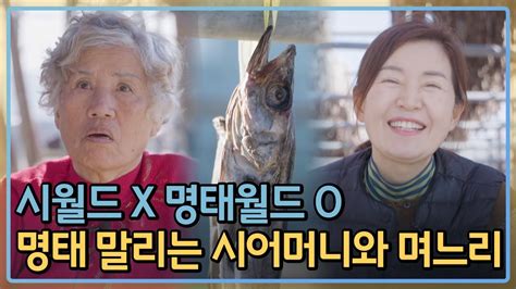 시월드 X 명태월드 O 명태를 말리는 시어머니와 며느리 로컬라이프혁신가 Youtube