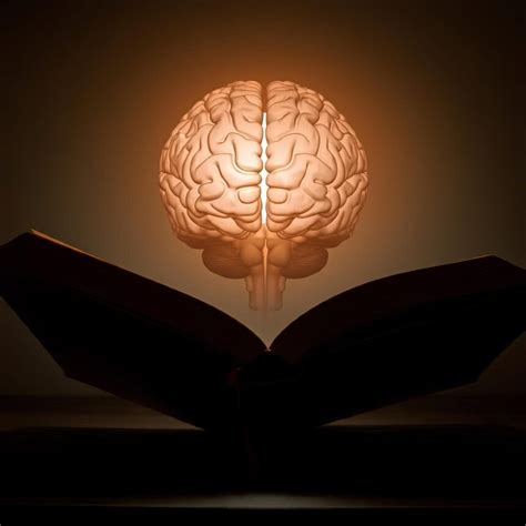 how our brains work when we read books malevus