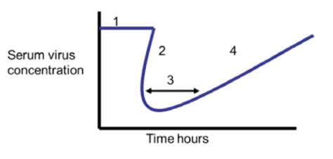 Mip 300 Unit 4 Lectures 23 29 Flashcards Quizlet