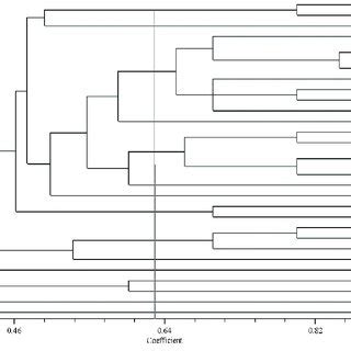 Dendrogram Showing Clustering Of Qualitative Traits In Cocoa Genotypes