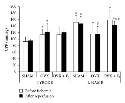 Coronary Perfusion Pressure Cpp In Mmhg Of The Different