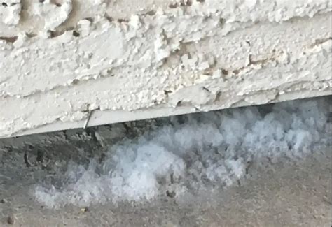 Mold Vs Asbestos Whats The Difference Rapid Restoration Recovery Inc