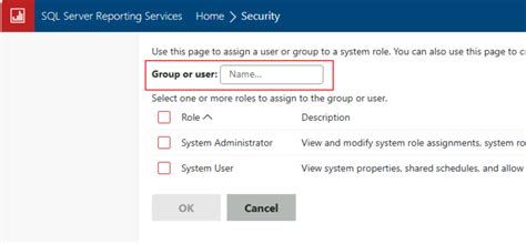 將報表伺服器的存取權授與使用者 sql server reporting services ssrs microsoft learn