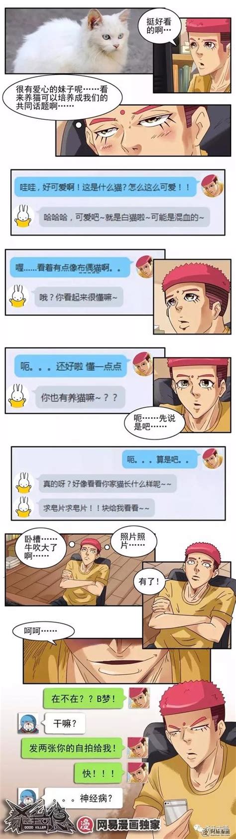 漫畫養貓 每日頭條