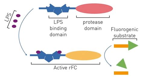 The Lal Assay Detecting Bacterial Contamination Bmg Labtech