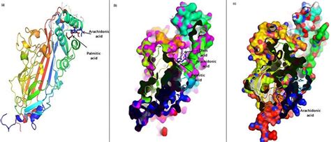 The Cd36 Lcfas Interaction Results Of Flexible Docking By Acting On The Download Scientific