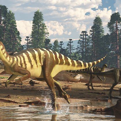 Male Or Female Challenging Evidence Of Sex Differences Amongst Dinosaurs Earth