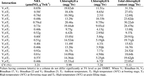 Combined Effect Of Temperature And Rice Variety On Chlorophyll Content