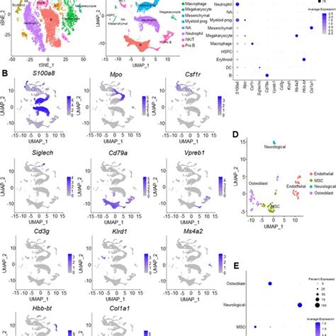 Cell Cell Interactions Among Different Cell Types In Abm A Heatmap Of Download Scientific
