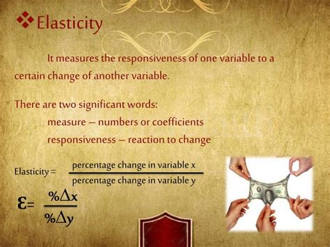 Concept Of Elasticity PPTX Science