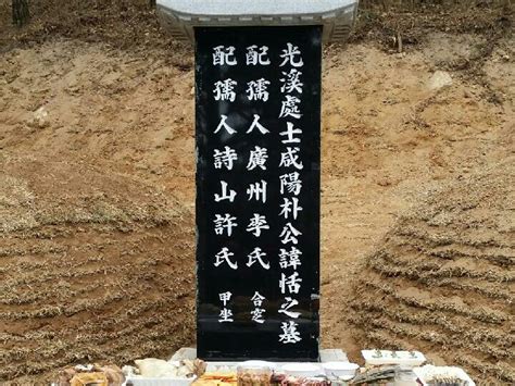 함양박씨 처사공파 화수회 Band