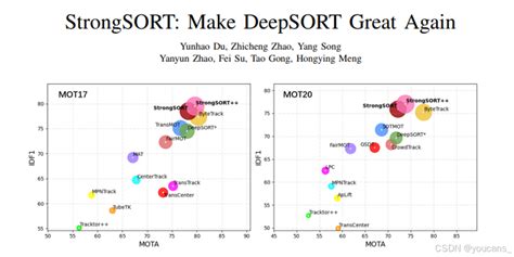 【yolo5 项目实战】（6）yolo5 strongsort 目标追踪 yolov5 strongsort csdn博客