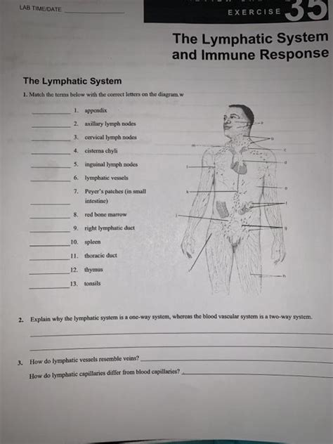 Solved LAB TIME DATE EXERCISE 35 The Lymphatic System And Immune Response 1 Answer