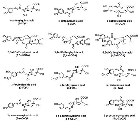 Chemical Structures Of 3‐cqa 4‐cqa 5‐cqa 34‐dicqa 35‐dicqa