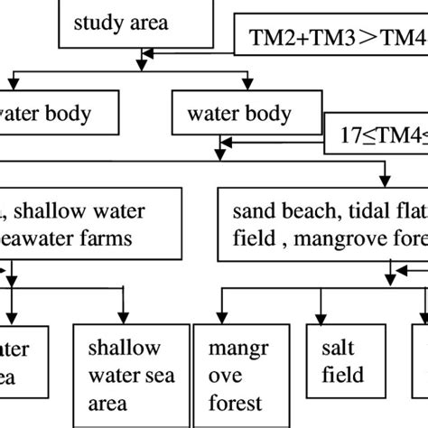 Decision Tree Model Of Extracting Of Wetland In Xiamen City Download