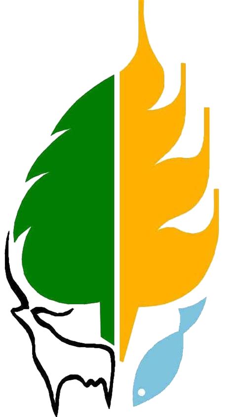 An Adaptive Feature Extraction Approach For Improving Handwritten Character Recognition