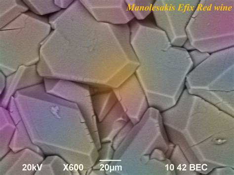 Bogdan Stavrev Ranguelovs Lab Bulgarian Academy Of Sciences Bas