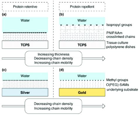 Hydrodynamic Diameter Variation Of Crosslinked Pampnipam Due To Download Scientific Diagram