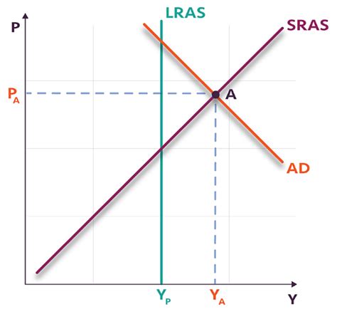Solved For This Graph The Y Axis Is Labeled P And The X Axis Is Labeled Y In Roughly The