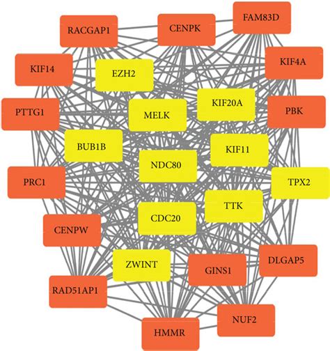 Ppi Network And Module Analysis A Ppi Network Of The Most