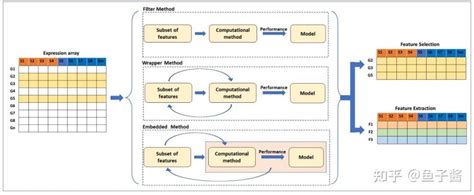 机器学习常见降维方法及Python示例分享附完整代码 知乎