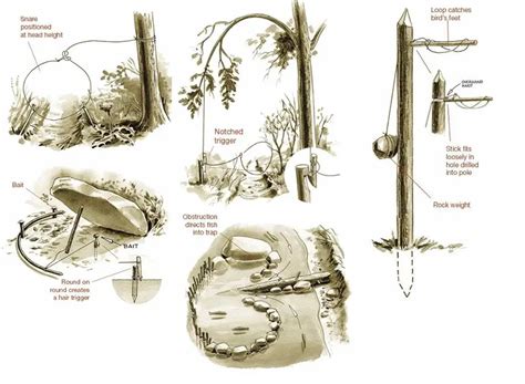 Deadfall Trap 101 Types Applications And More The Prepping Guide