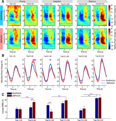 Power Spectra Of EEG Over Sensorimotor Cortex A Average Power Change Download Scientific