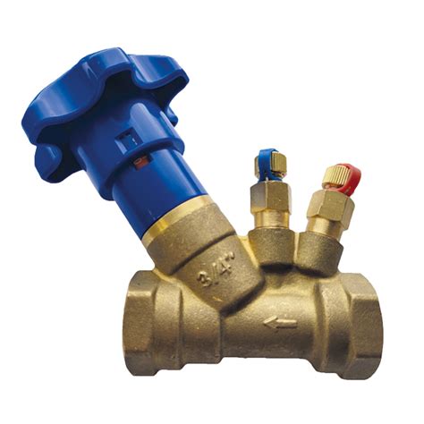 What Are Regulating Valves At Joyce Priddy Blog