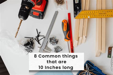8 Things That Are 10 Inches Long With Real Examples