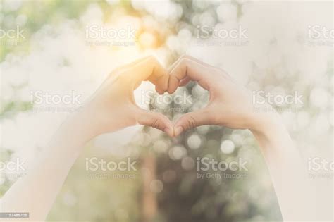 자연 보케 태양 빛 플레어와 흐림 잎 추상적 인 배경에 여성 손 심장 모양 행복한 사랑과 자유 개념의 공간을 복사합니다 빈티지 톤 필터 색상 스타일입니다 감정에 대한 스톡