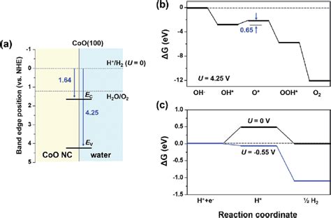 A Band Edge Position Of The Bare Coo 100 Surface And Potential Download Scientific Diagram