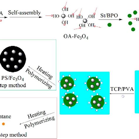 Schematic Of The Synthesis Route Of Colorized Ps Fe3o4 Beads And Download Scientific Diagram