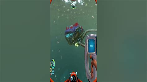 Что за чудо юдо рыба кит Youtube