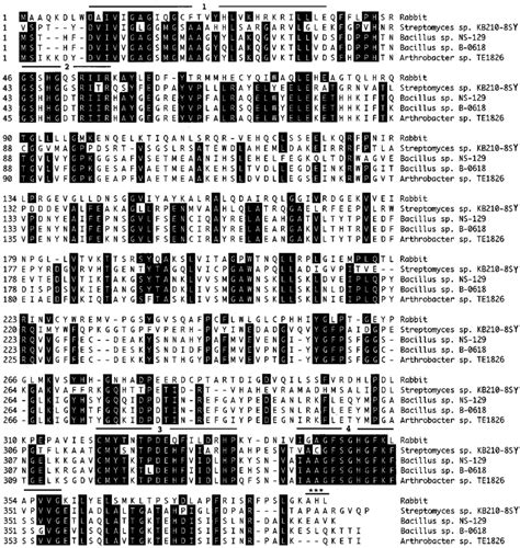 Sequence Alignment Between Sox From Rabbit Liver And Four Monomeric