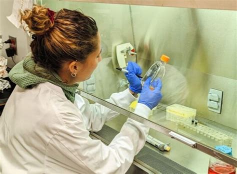 Spotlight On Graduate Student Amelia McCue Of Kuhlman Lab Biochemistry And Biophysics