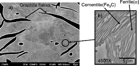 Surface Cross Section SEM Micrograph Of Untested Pearlitic Gray Cast Download Scientific