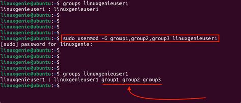How To Add An Existing User To Multiple Groups In Linuxubuntu Linux Genie