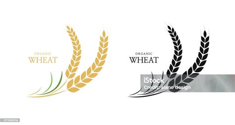 밀 귀 또는 쌀 아이콘입니다 벼 밀 월계관 아이콘입니다 상 수상자 업적 상징을 묘사합니다 벡터 일러스트 레이 션 1위에 대한