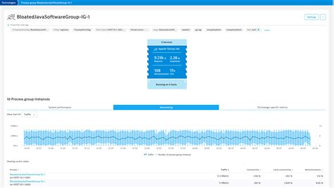 Extended Network Monitoring — Dynatrace Docs