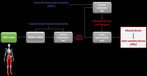 Computational Workflow Typically Adopted To Estimate JRFs Through MSK